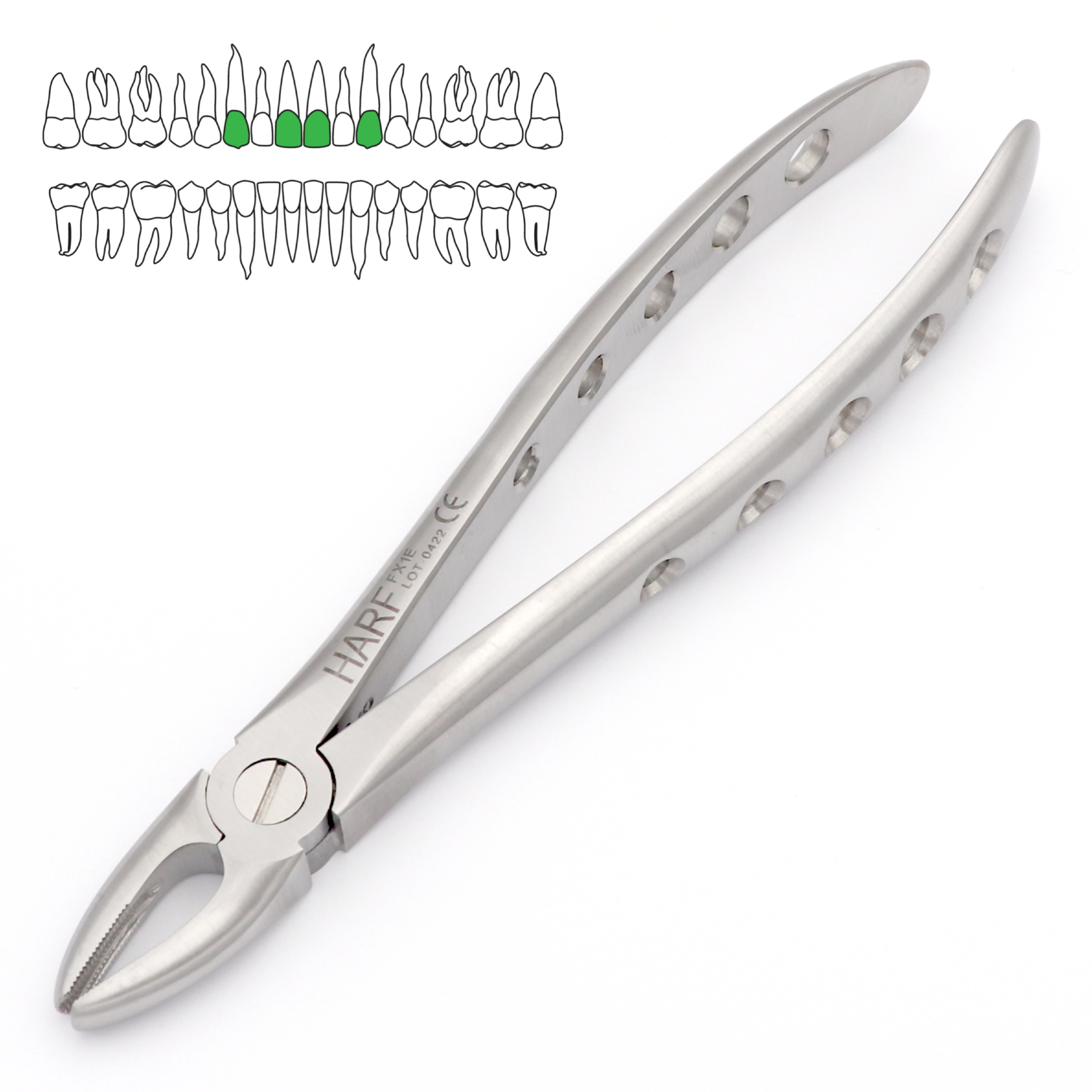 1 Extraction Forceps – HARFINS