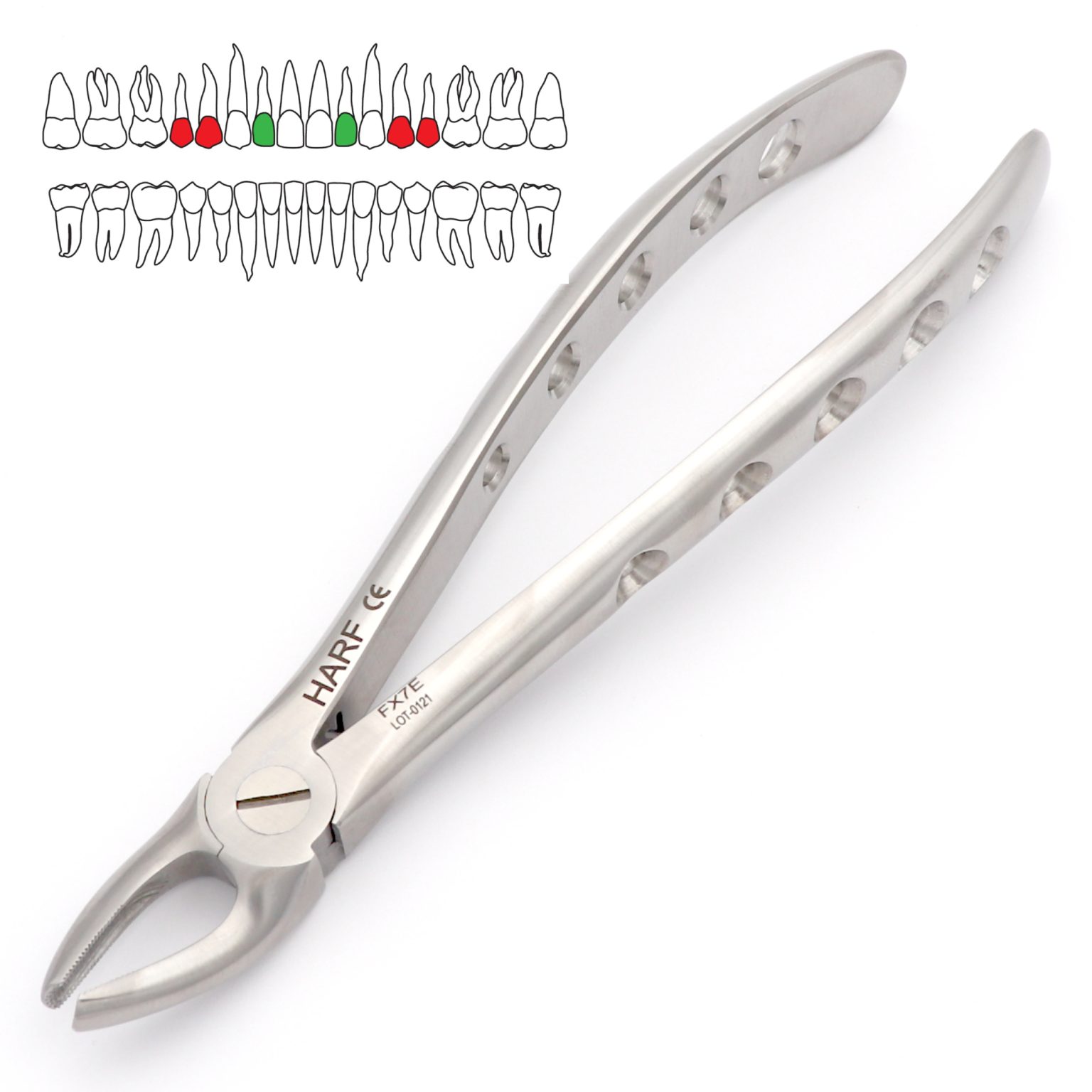32 Extraction Forcep – HARFINS