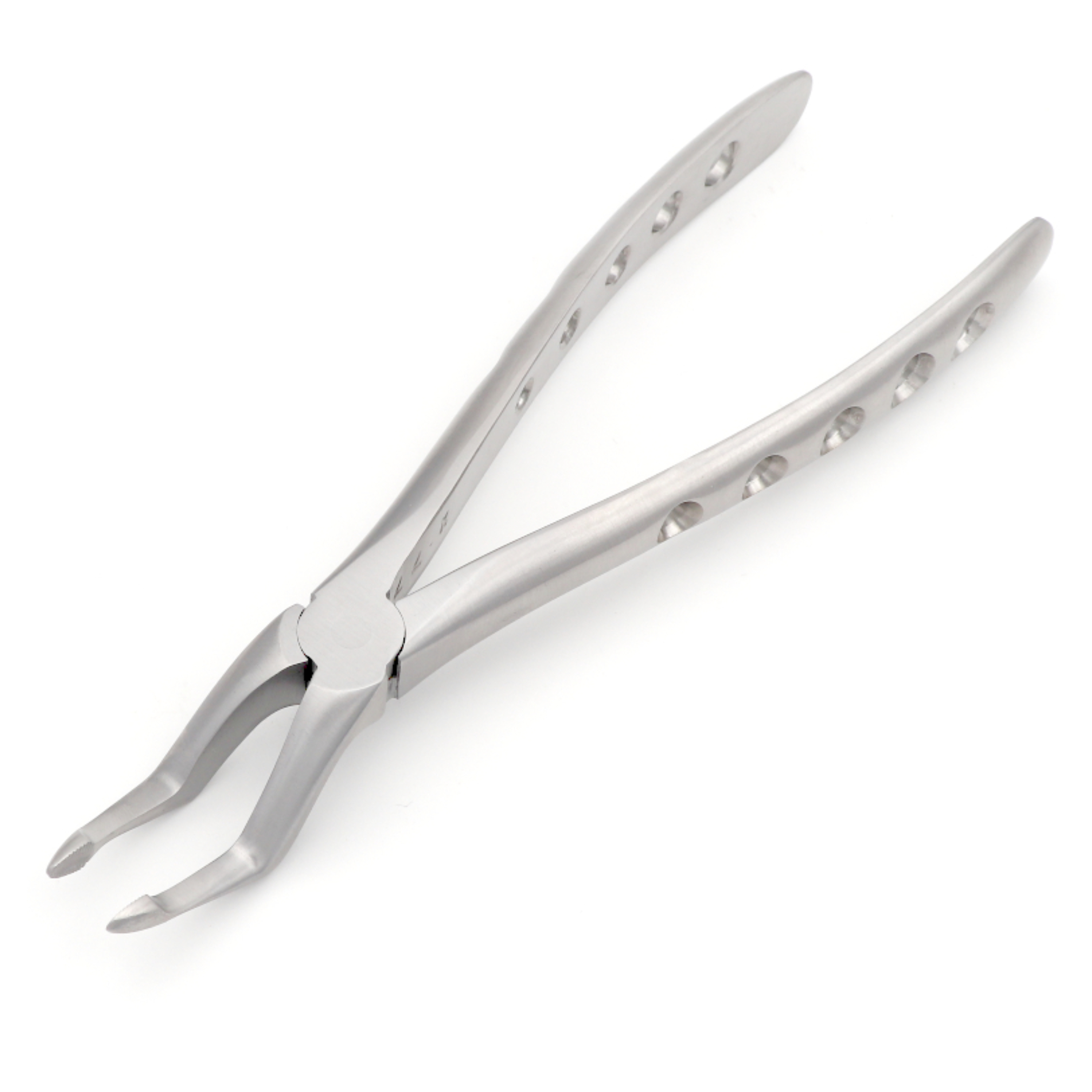51 Root Forcep – HARFINS