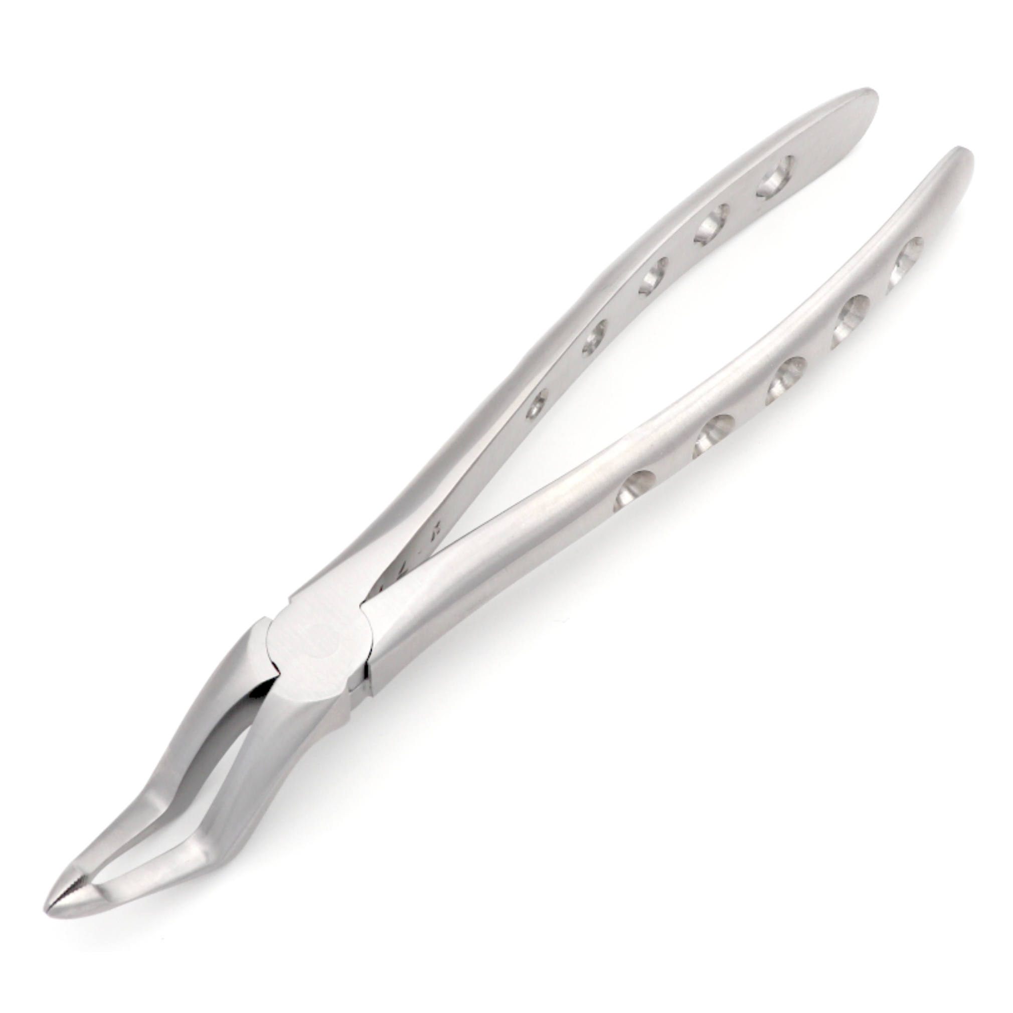 51 Root Forcep – HARFINS