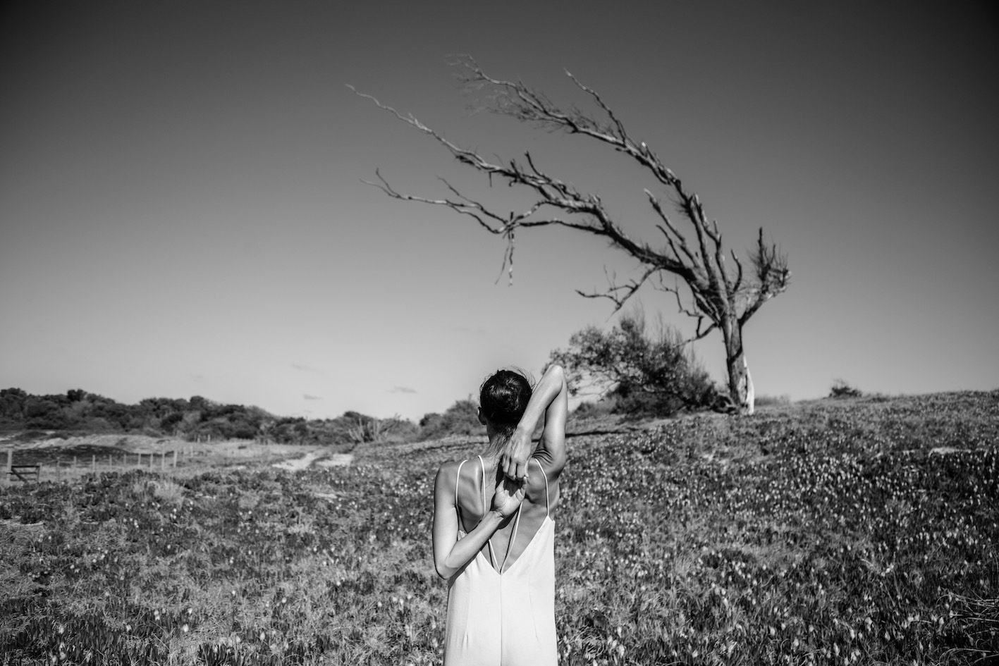 SITE/Specific Festival 2023 / Sofia Castro & Jacob Hellner ...