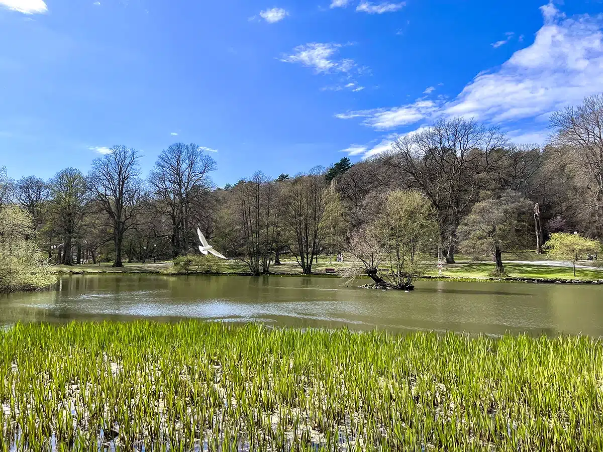 Slottsskogen: het grote stadspark in Göteborg - Sommarmorgon.com