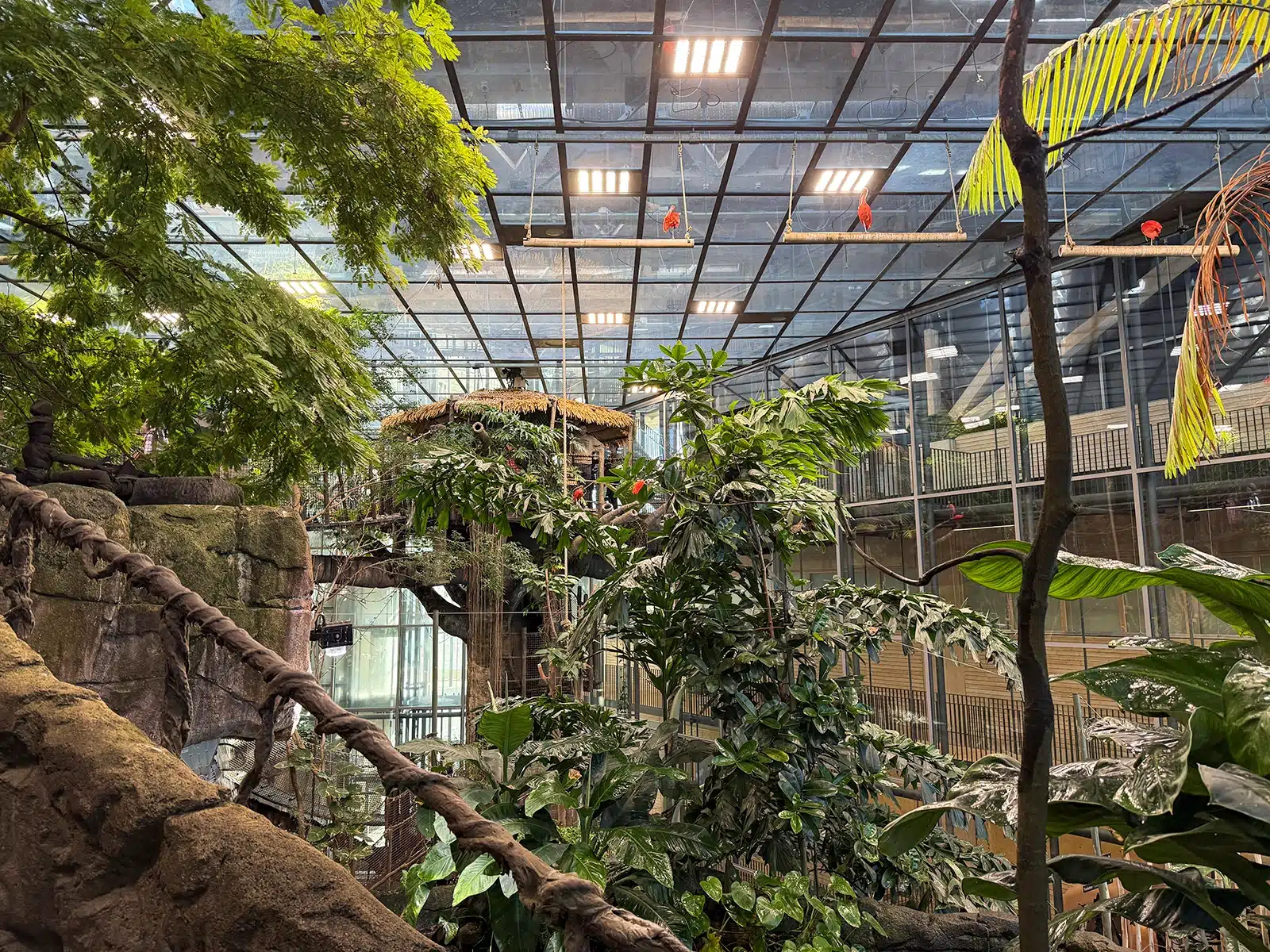 Bezoek het Universeum in Göteborg: een leuk uitje met kinderen ...