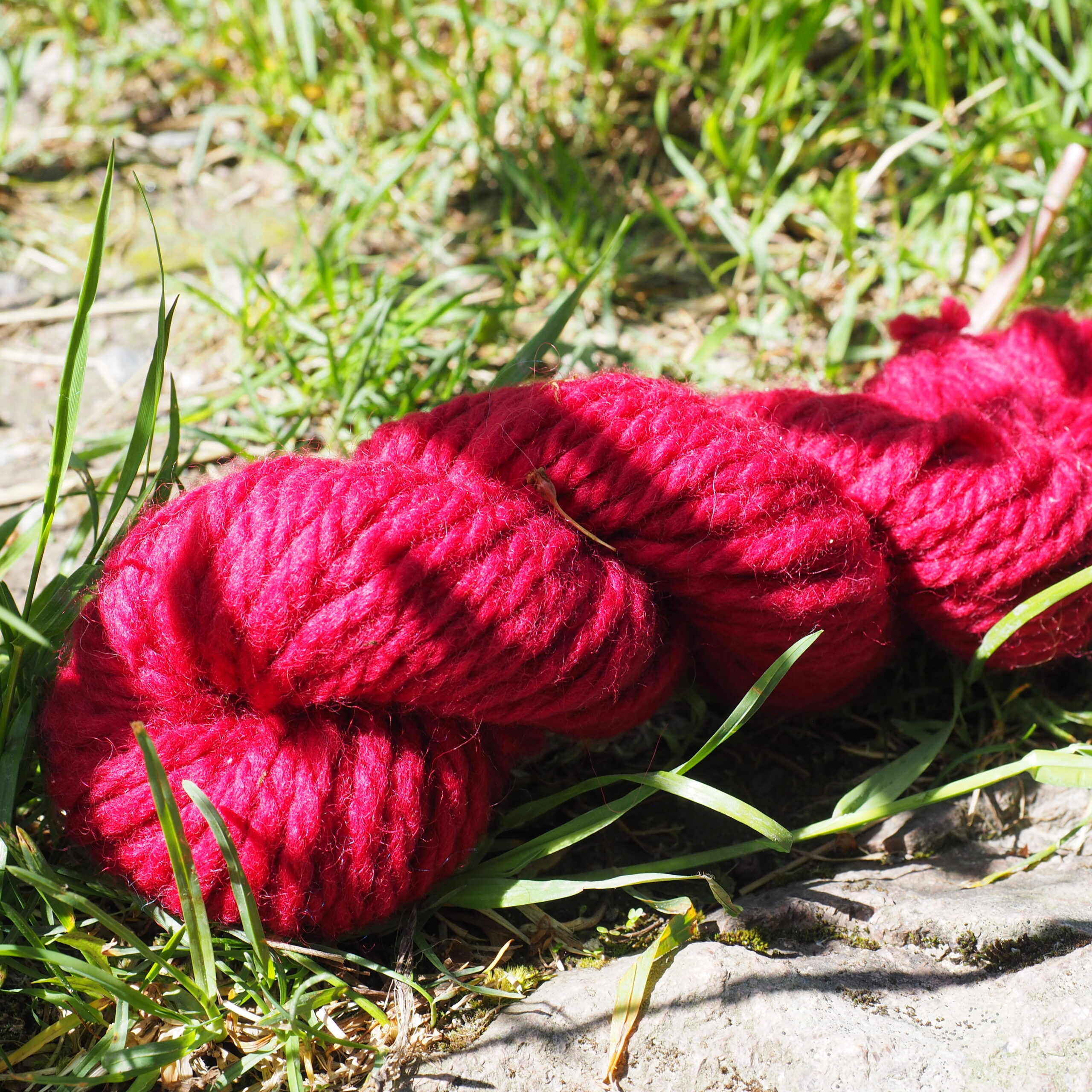 Kochenille - malt - spinnestua.no