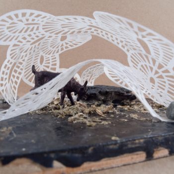 Stone Paper in de kunstwereld – Stone Paper