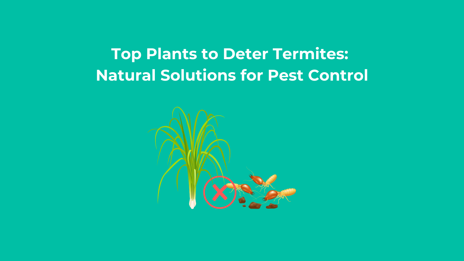 Top Plants to Deter Termites Natural Solutions for Pest Control