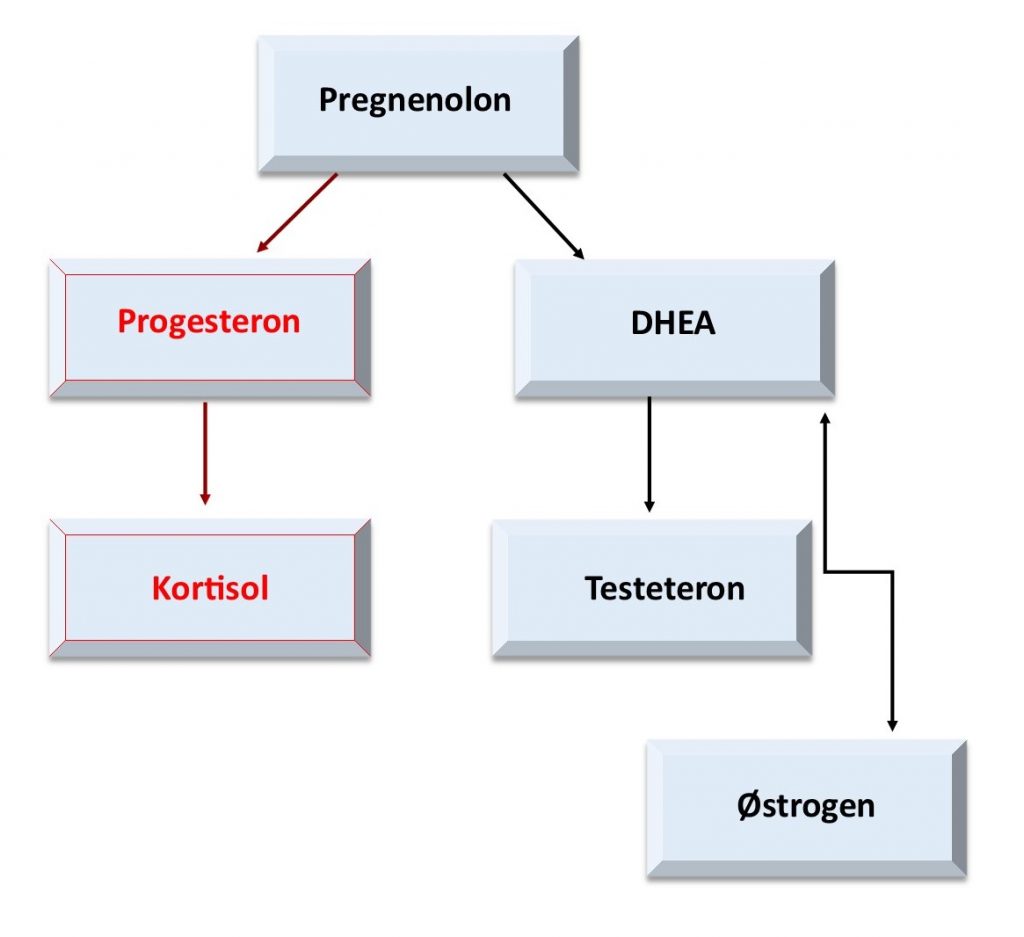 Nerver eller hormoner?