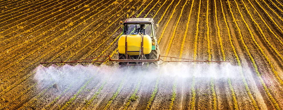 Azoler i din hverdag - Sund-Forskning