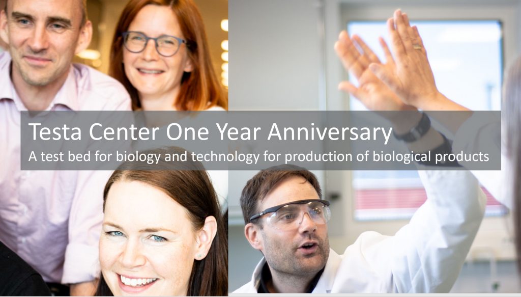 The Testa Center one year celebration in pictures! – Testa Center