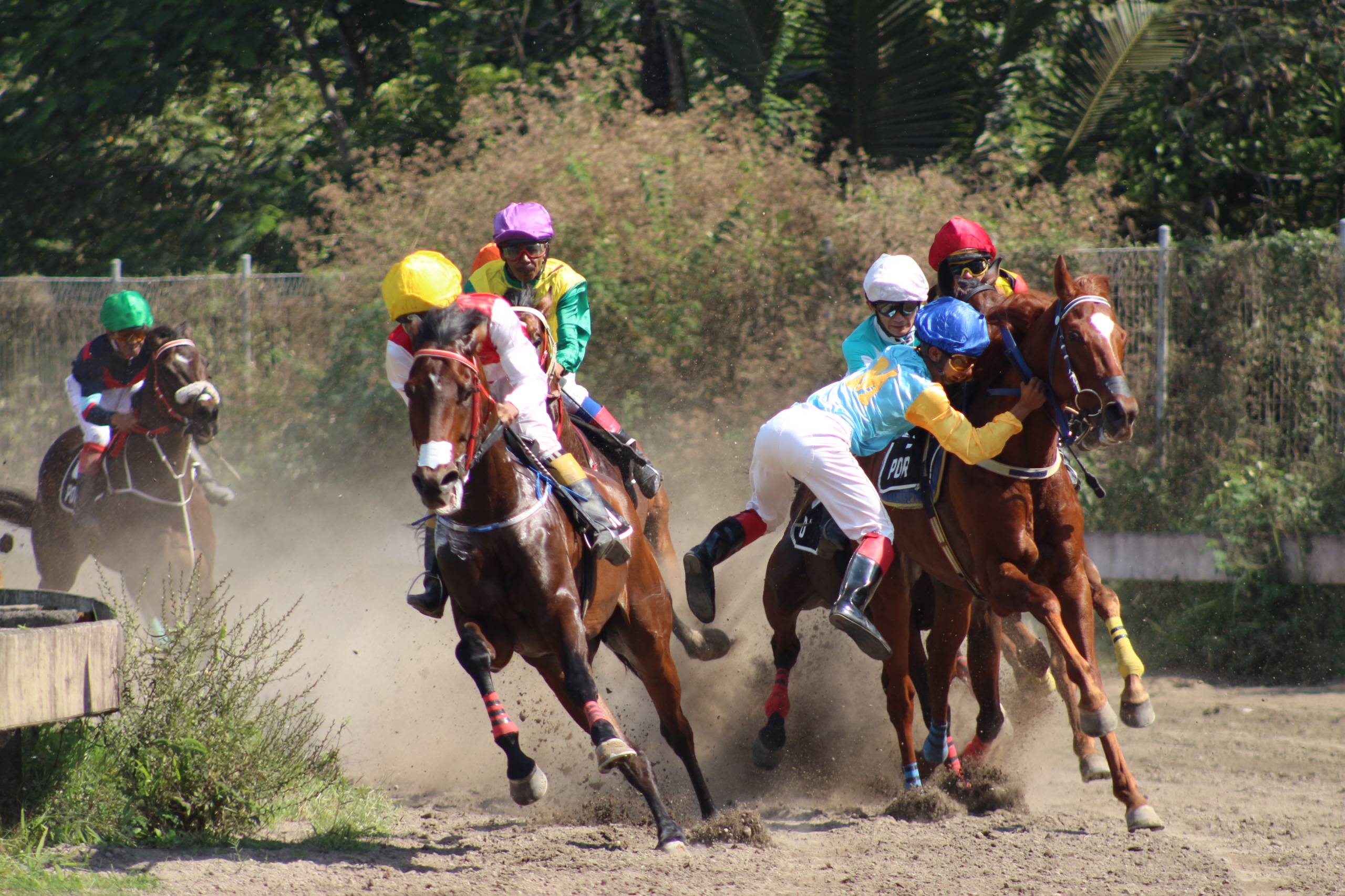 From Favorites to Underdogs: Understanding Horse Racing Odds