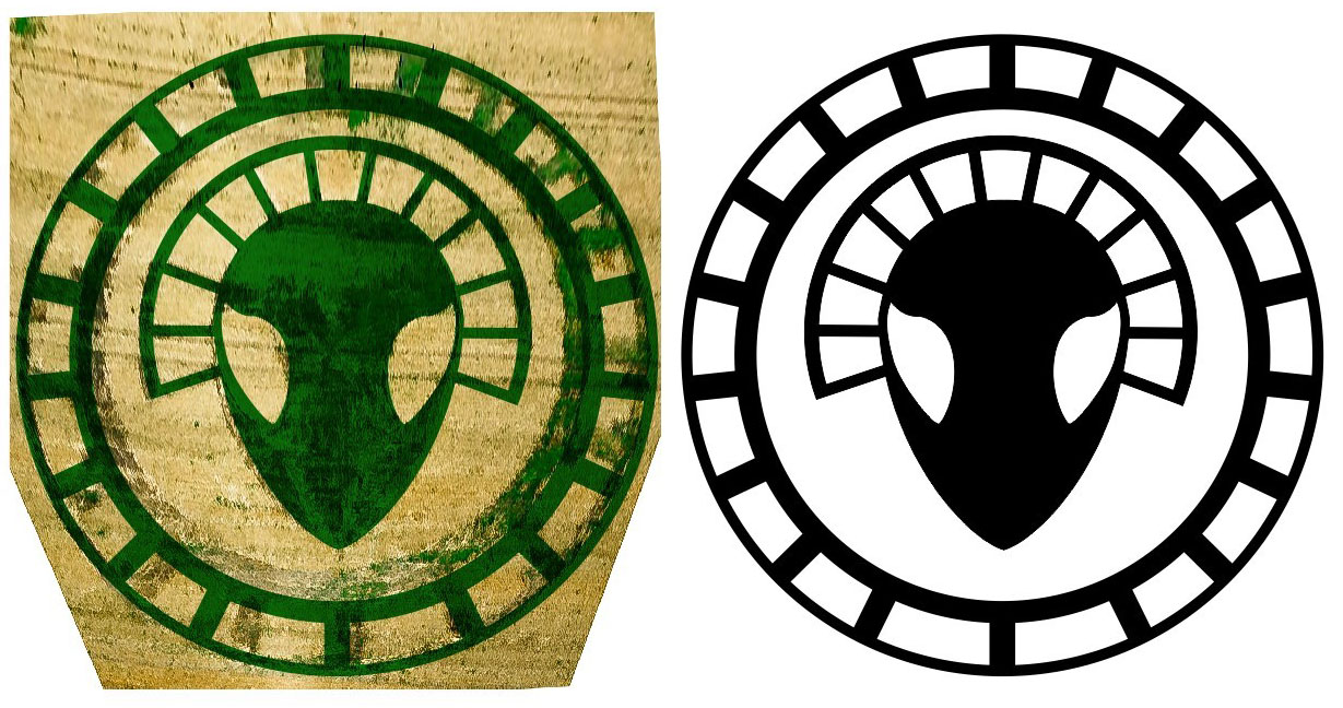 A Face Alien crop circle 2019 – Tô no Cosmos