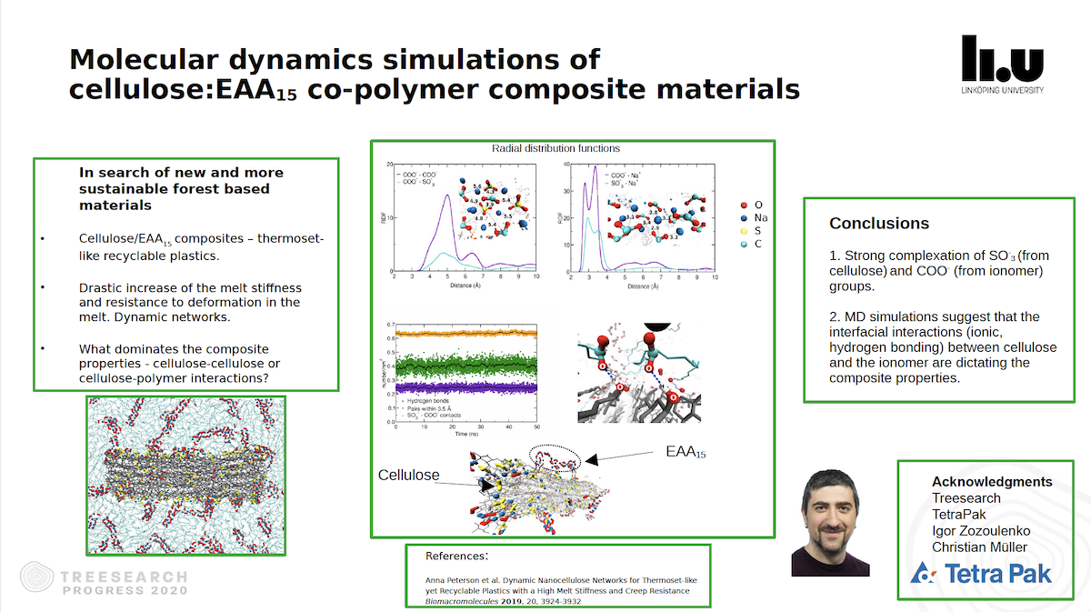 Molecular dynamics simulations of cellulose: EAA15 co-polymer composite materials - Treesearch