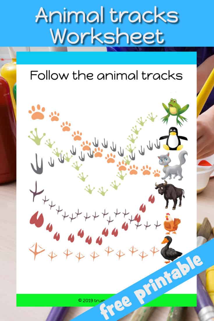 Proverbs - Preschool Bible lesson for kids - Trueway Kids