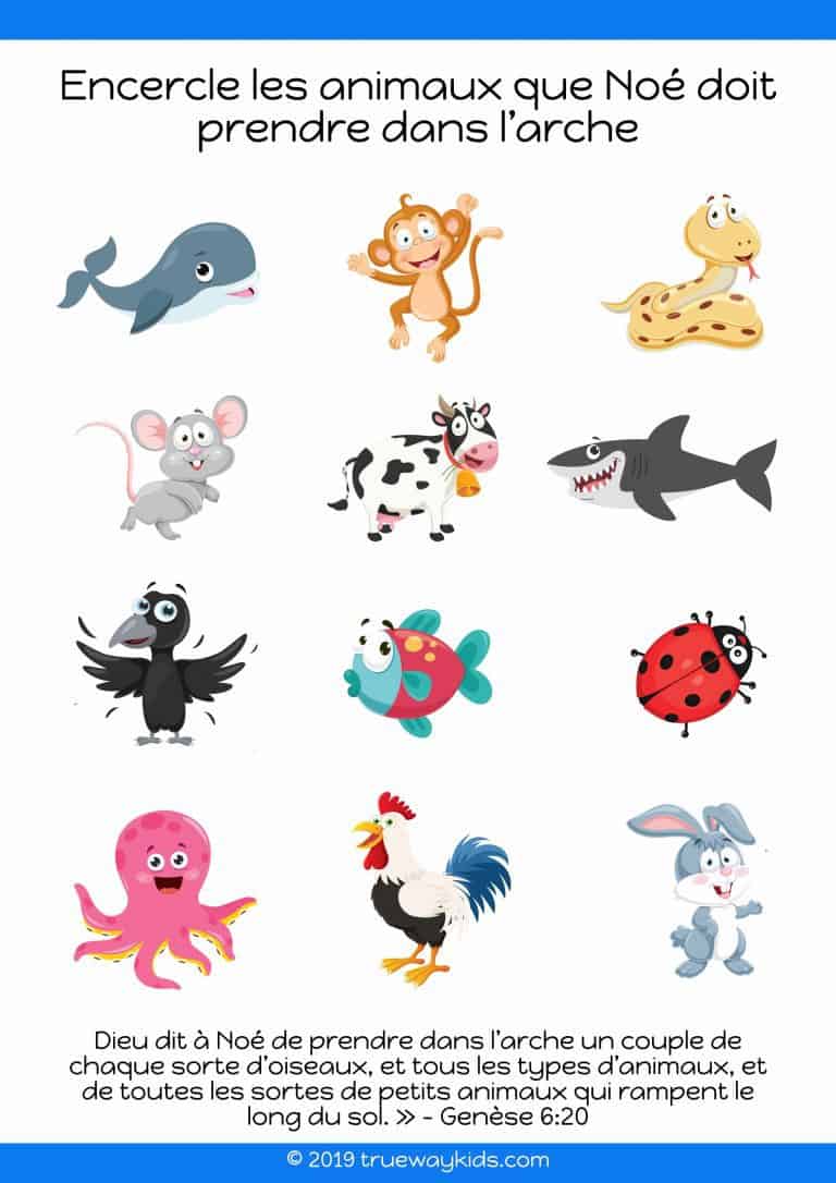 L’arche de Noé - Trueway Kids