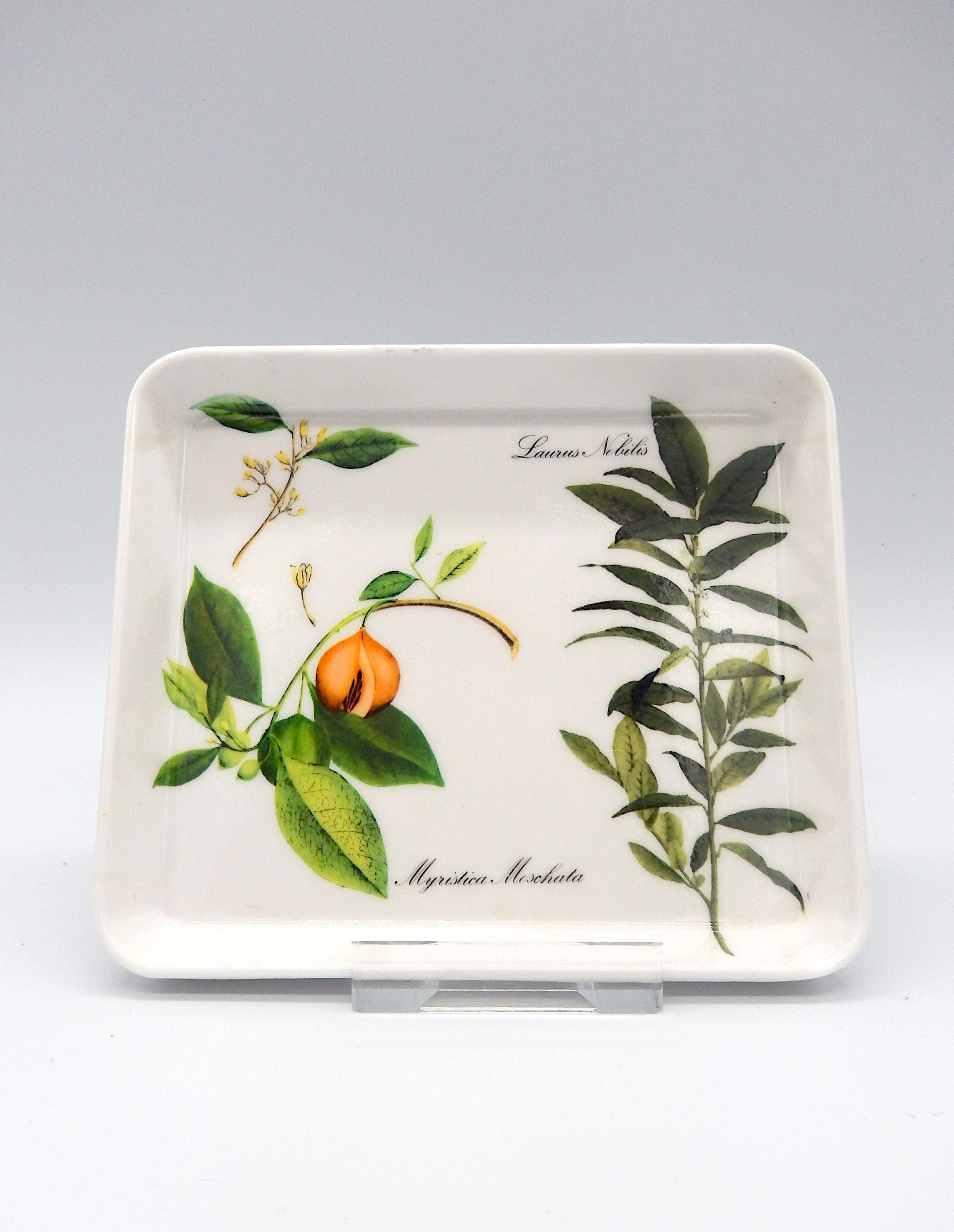 Dienblaadje Mebel Italy met kruidenplanten | What's New Today? Dienblaadje Mebel Italy met kruidenplanten | What's New Today?