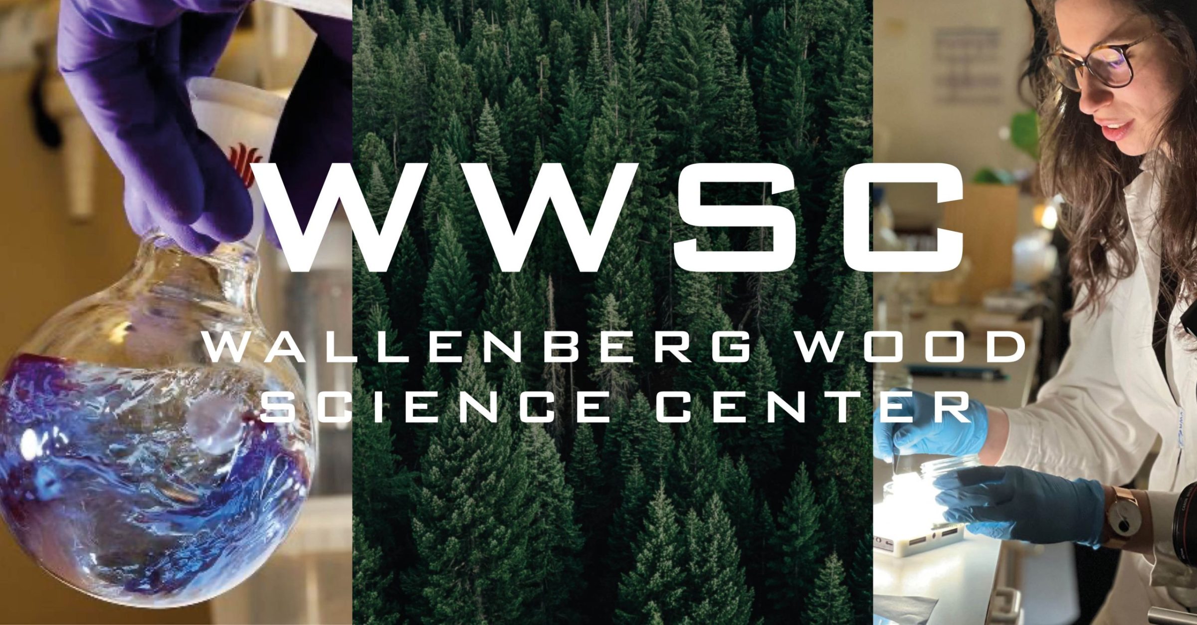 Opportunities within WWSC – open positions