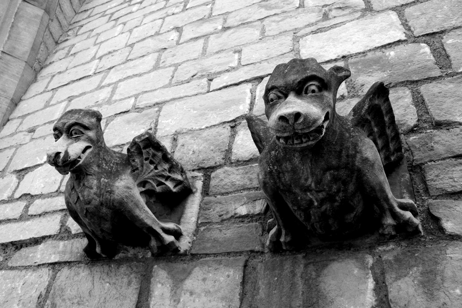 12 Views Of York 12views 12-views-of-york-12views
