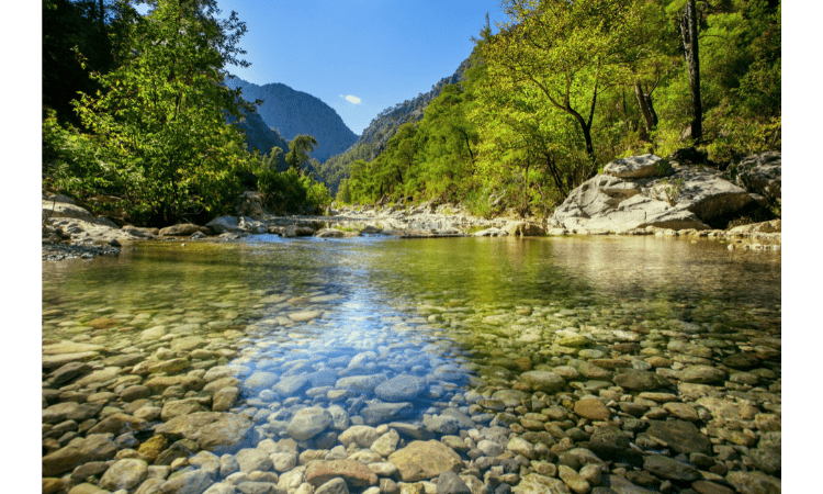 Nature's Gems: A Tour of the Five Cleanest Rivers in the World ...