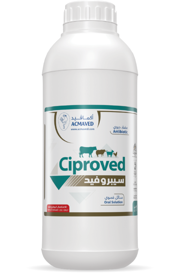 سيبروفيد - ACMAVED