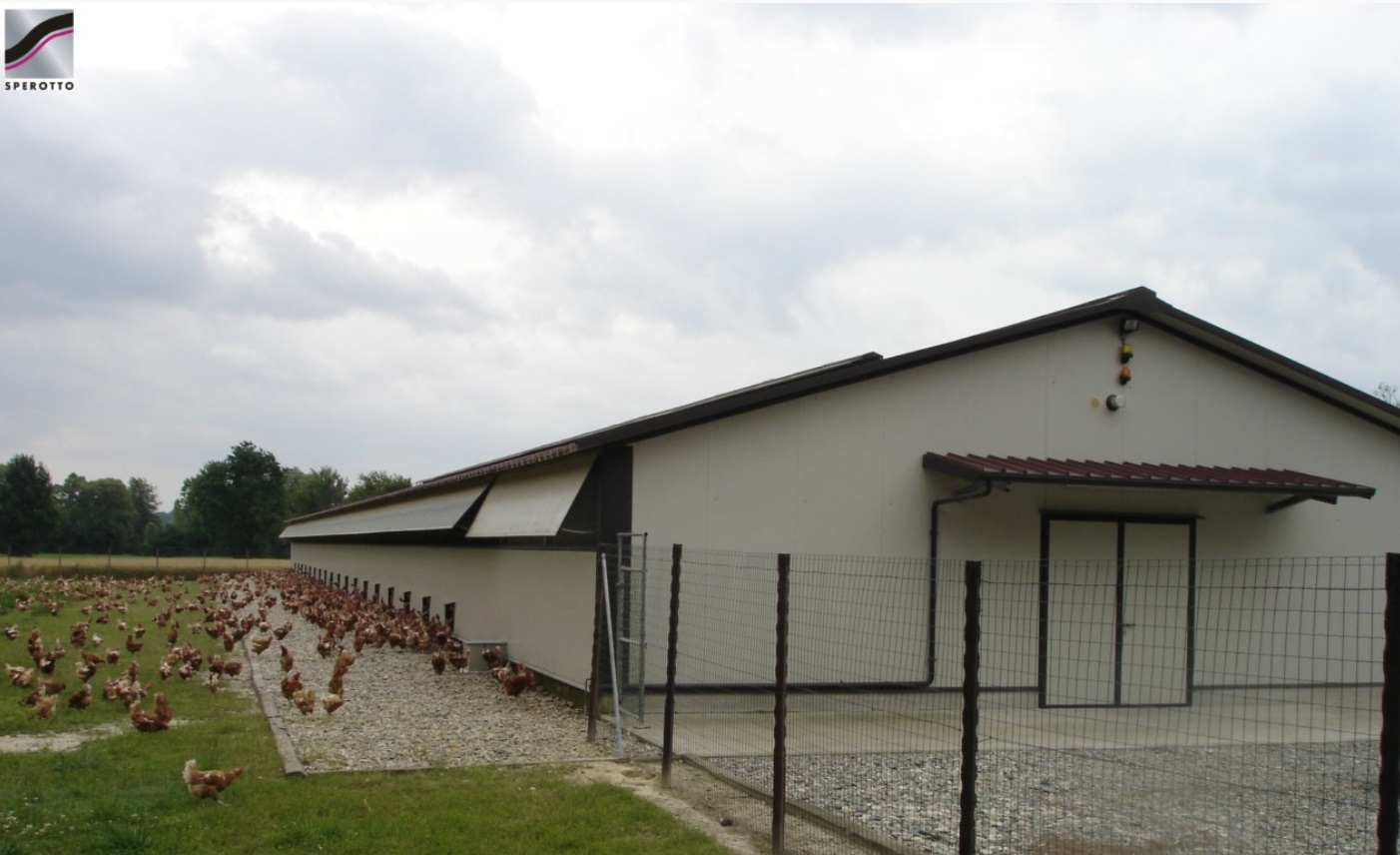 Feeding System - ACMAVED