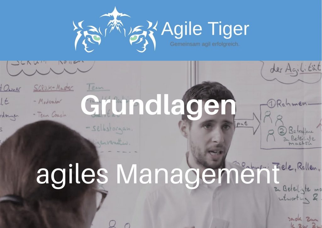 Artikel & Onlinekurse agile Führung | Agile Tiger Prinzip