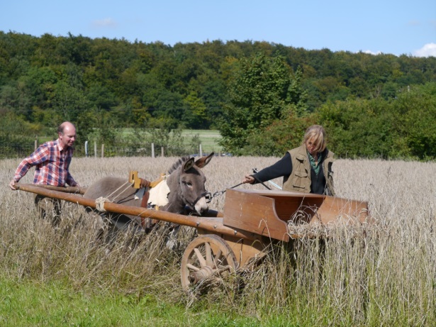 The Vallus, a 2000-year-old Gallo-Roman Harvesting Machine ...