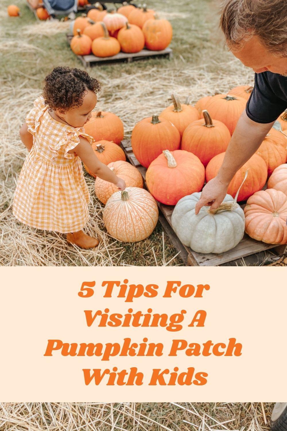 5 Tips For Visiting The Pumpkin Patch With Kids - Ahalfbakedmom