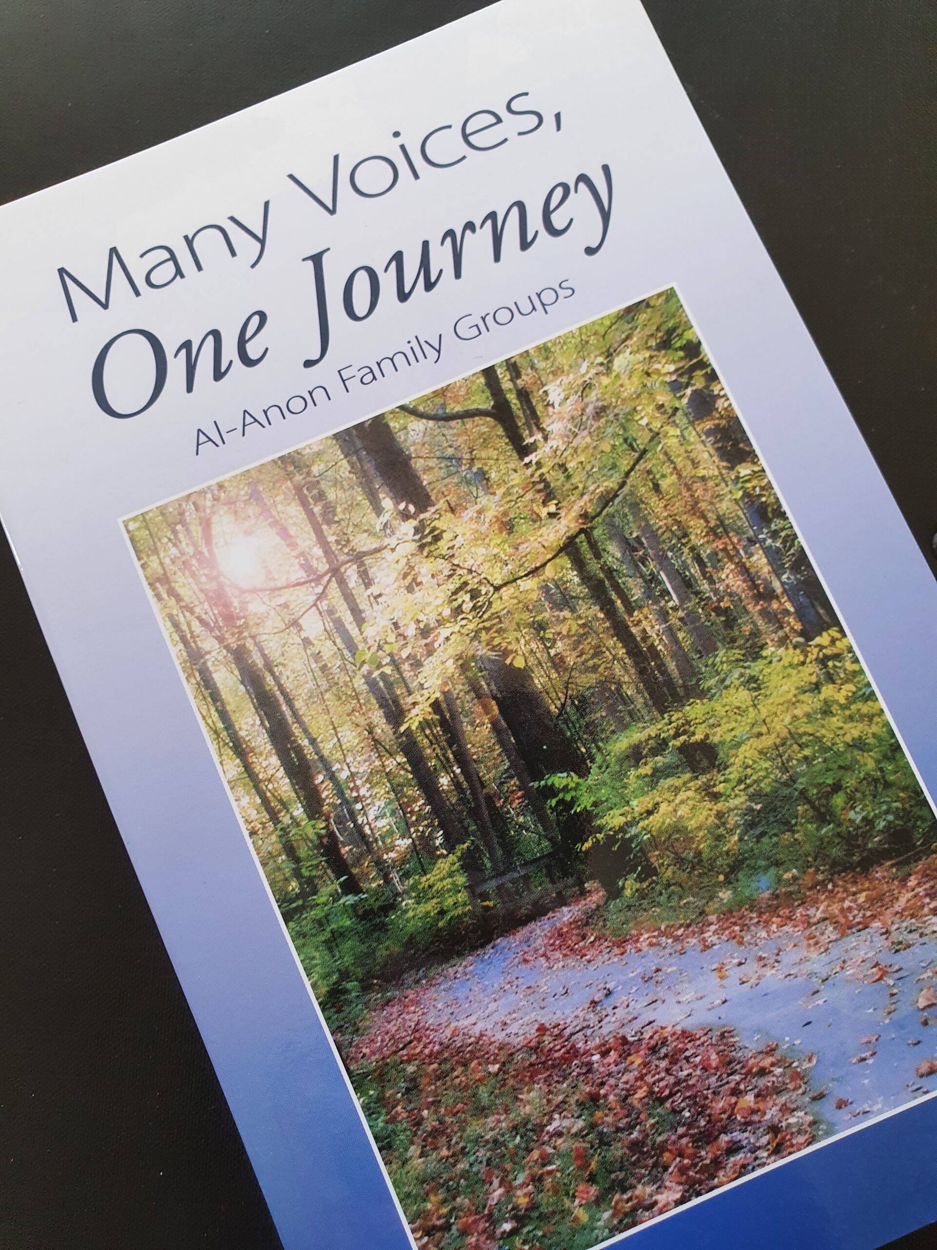 Many voices: One journey - Al-Anon