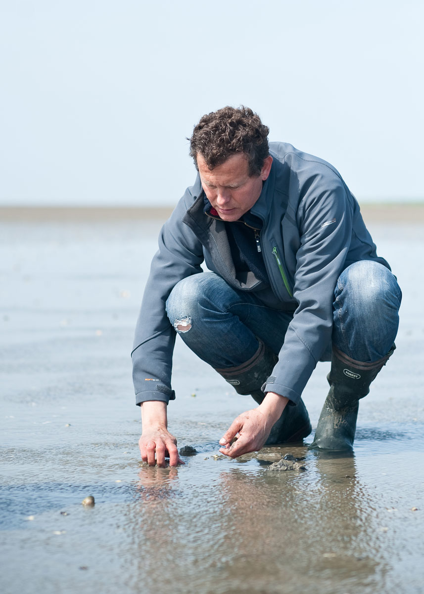 Amelander Oesters, Kokkels, Harderfilet en Zeebaars – Amelands Produkt