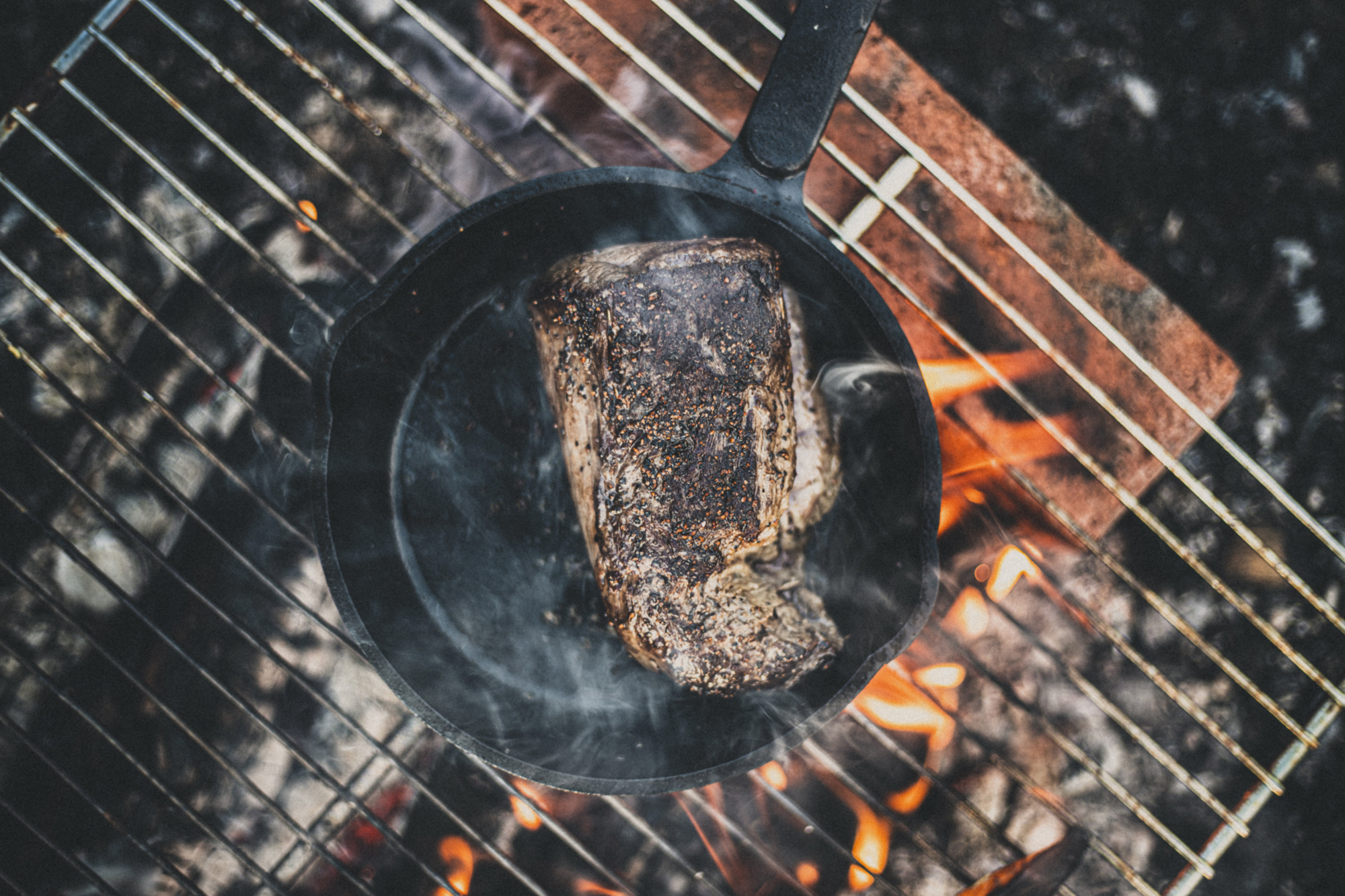 Moose, potatoes, carrots and five pepper sauce – ANALOGUE KITCHEN