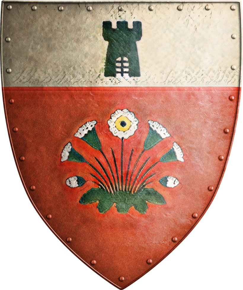 Heraldry of the Shield Lands - Anna B. Meyer