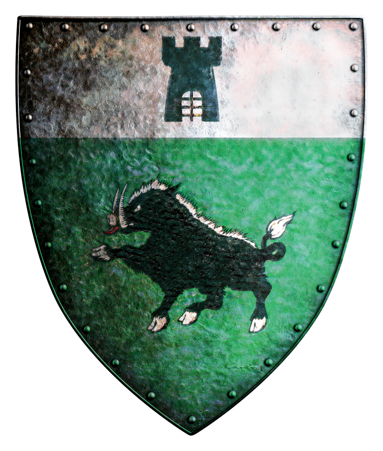 Shield Lands Heraldry - Anna B. Meyer