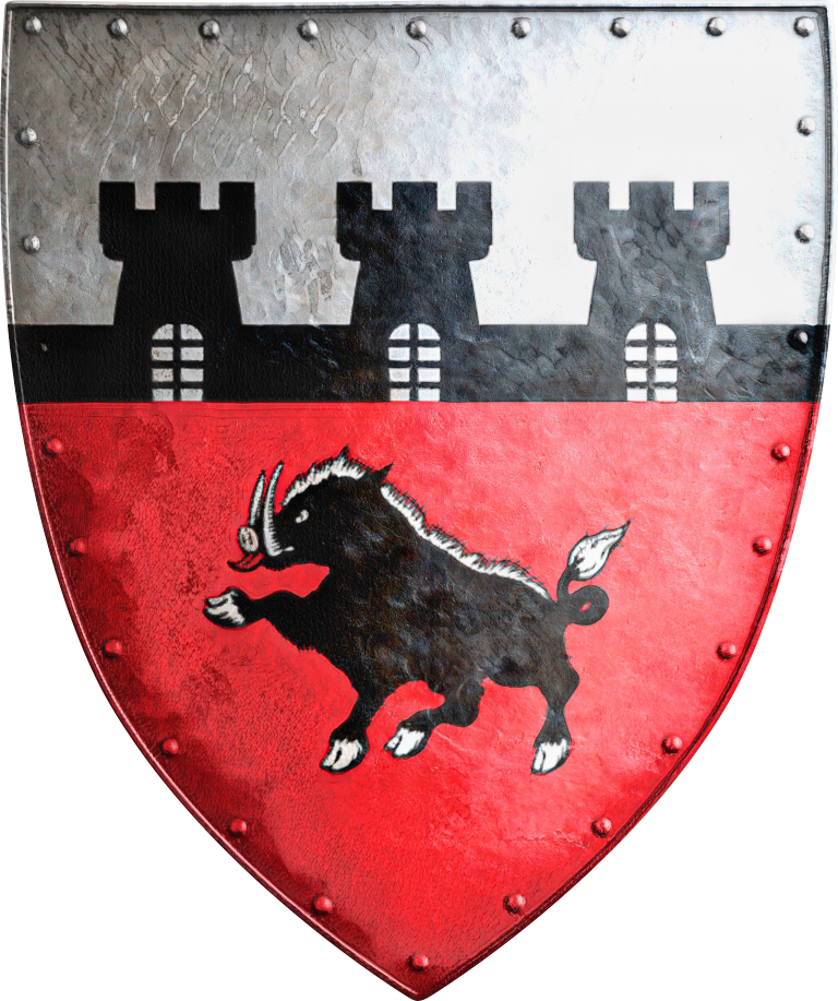 Shield Lands Heraldry - Anna B. Meyer