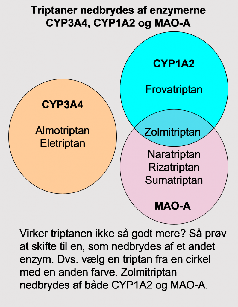 CGRP-antibodies eller triptaner? - Annes migraene