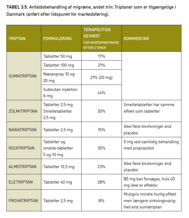 Kapitel 3 i Referenceprogrammet. Aura - Annes migraene