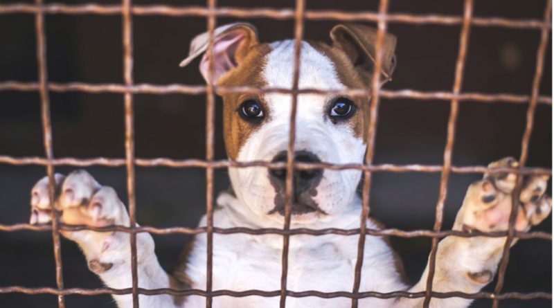 The importance of decompression