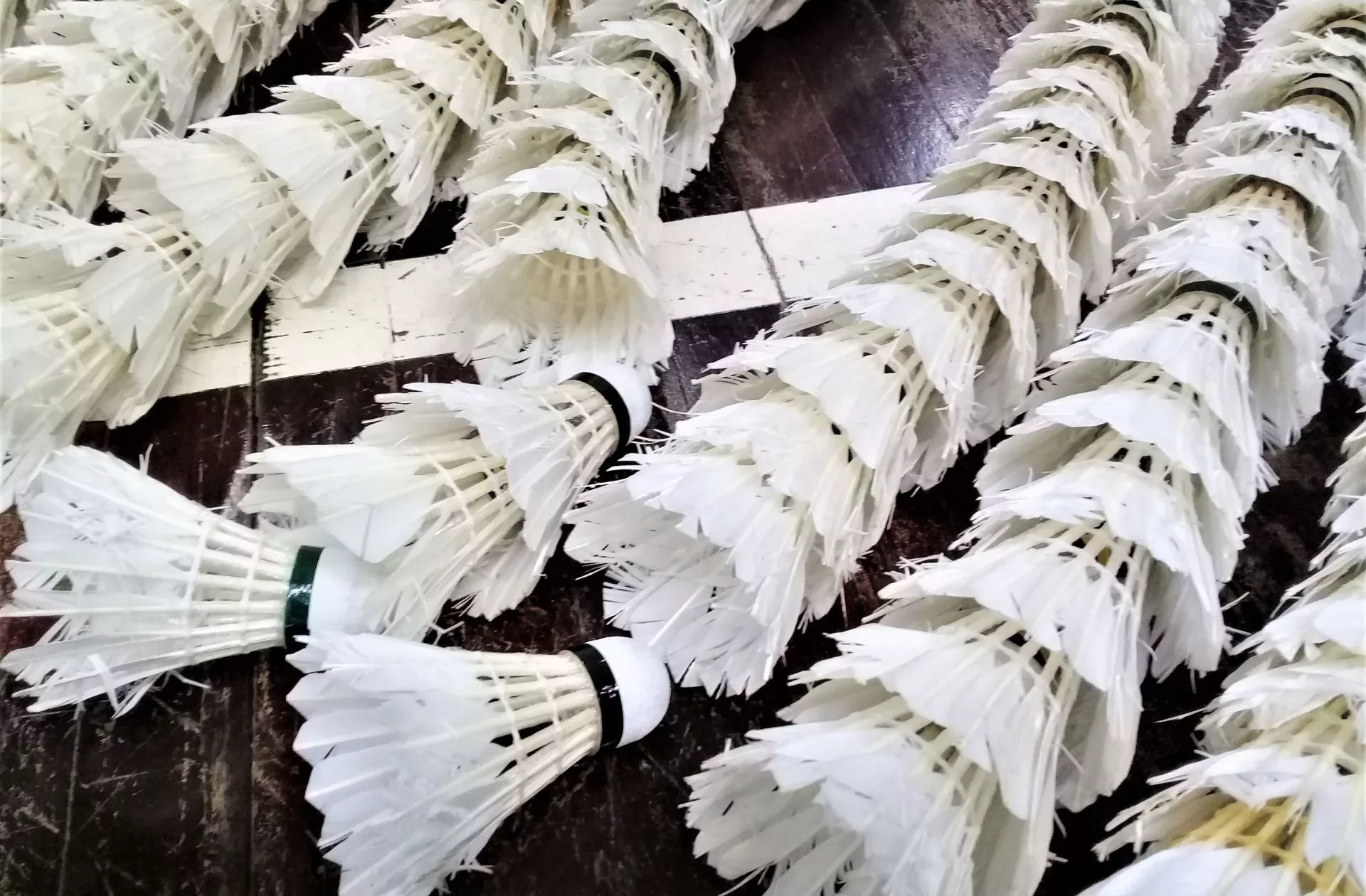 Which shuttlecock speed is right - how to choose the right shuttle