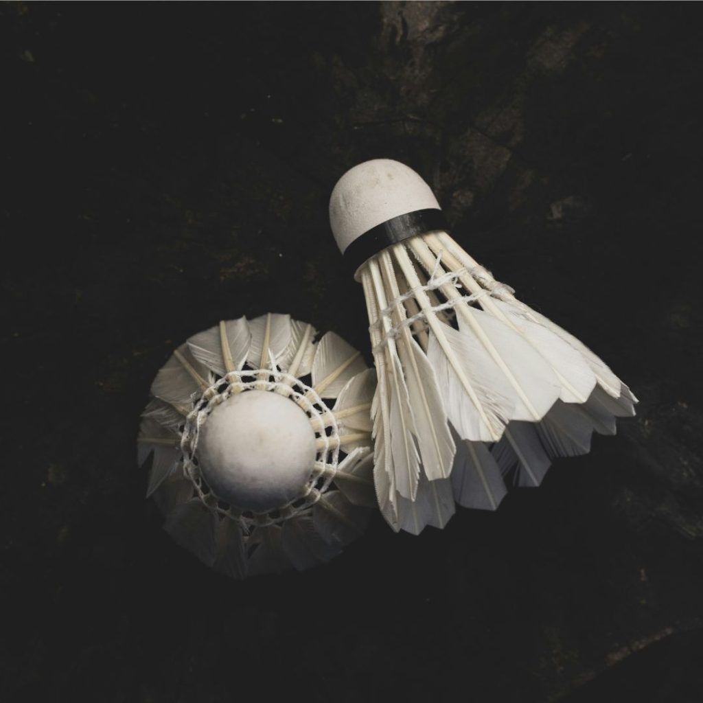 What is a shuttlecock? How does a badminton birdie fly?