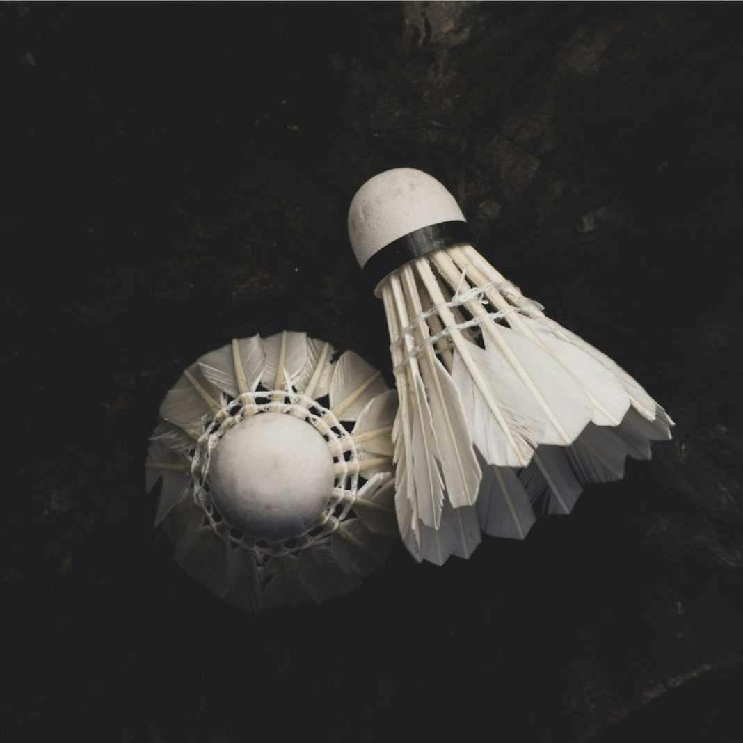 What is a shuttlecock? How does a badminton birdie fly?