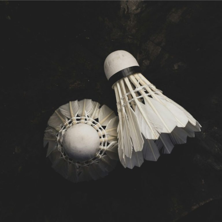 What is a shuttlecock? How does a badminton birdie fly?