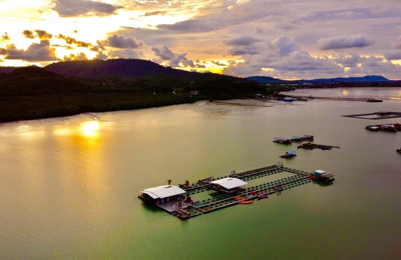 Bæredygtige oplevelser på Phuket » Bambus Rejser