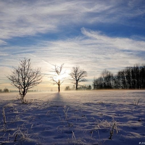 Vinter sol | BAPhoto