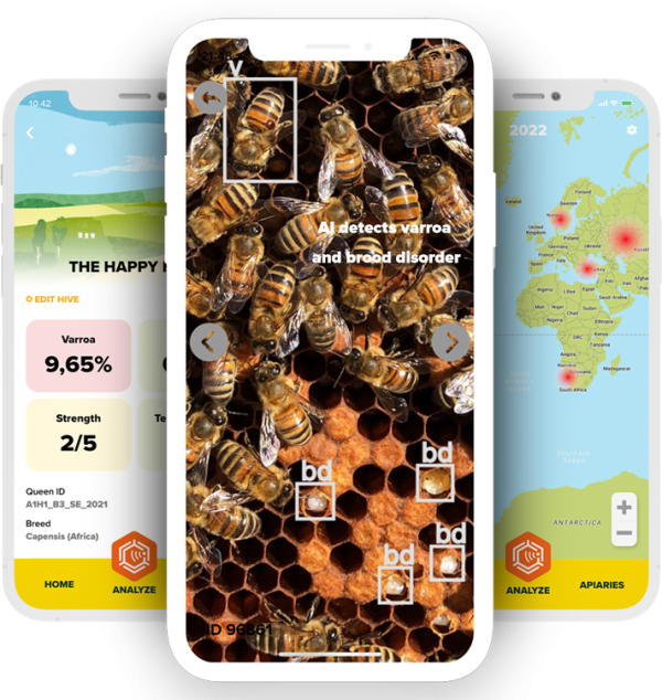 BeeScanning - Bee friendly health diagnosis