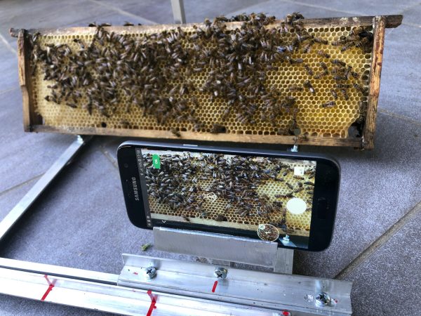 New stand/jig - BeeScanning