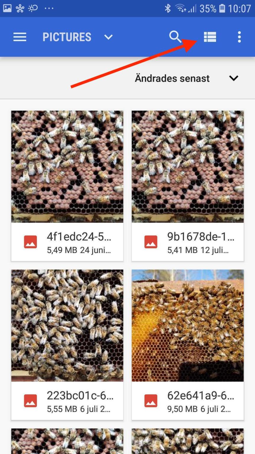 Import from gallery - BeeScanning