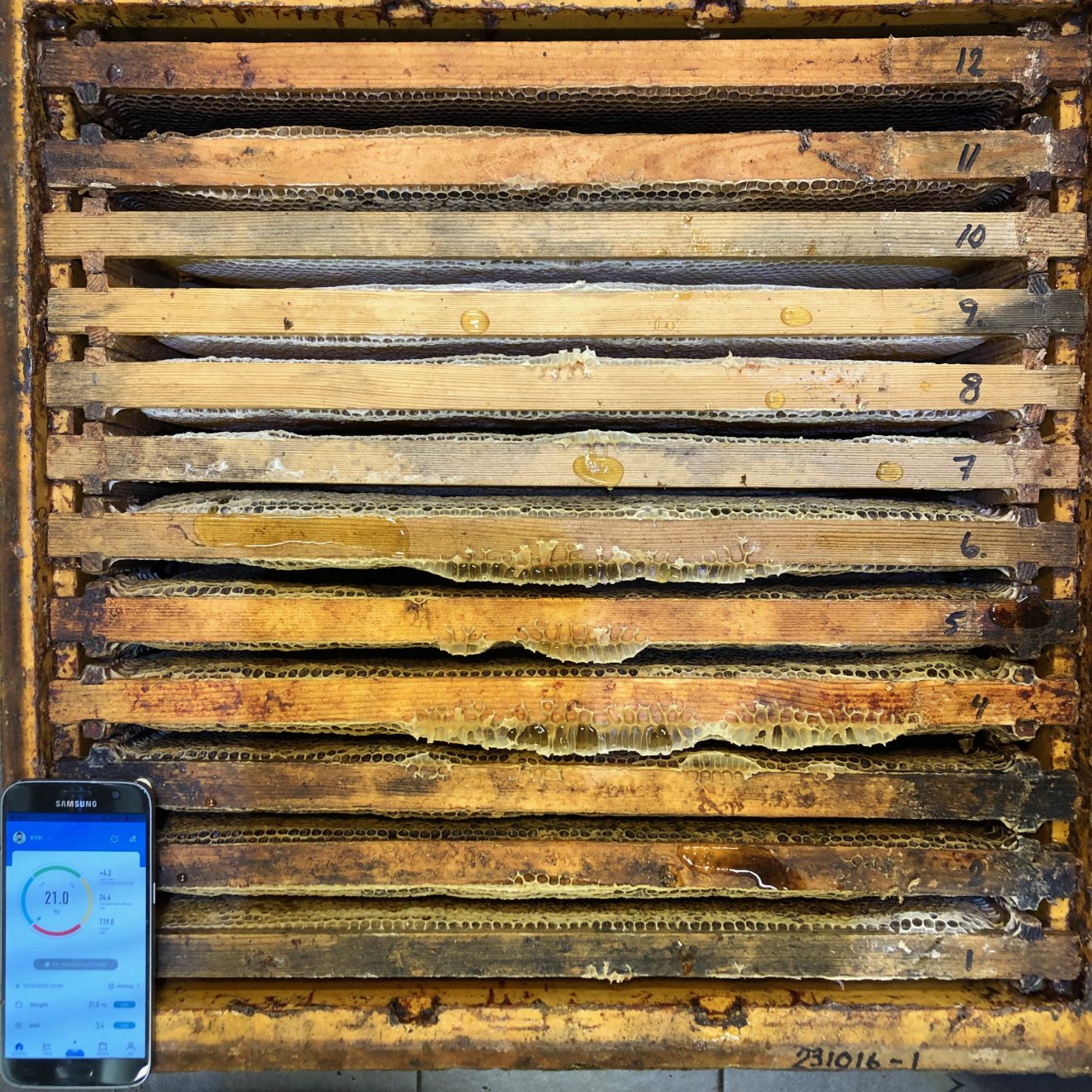 Know Your Honey! - BeeScanning