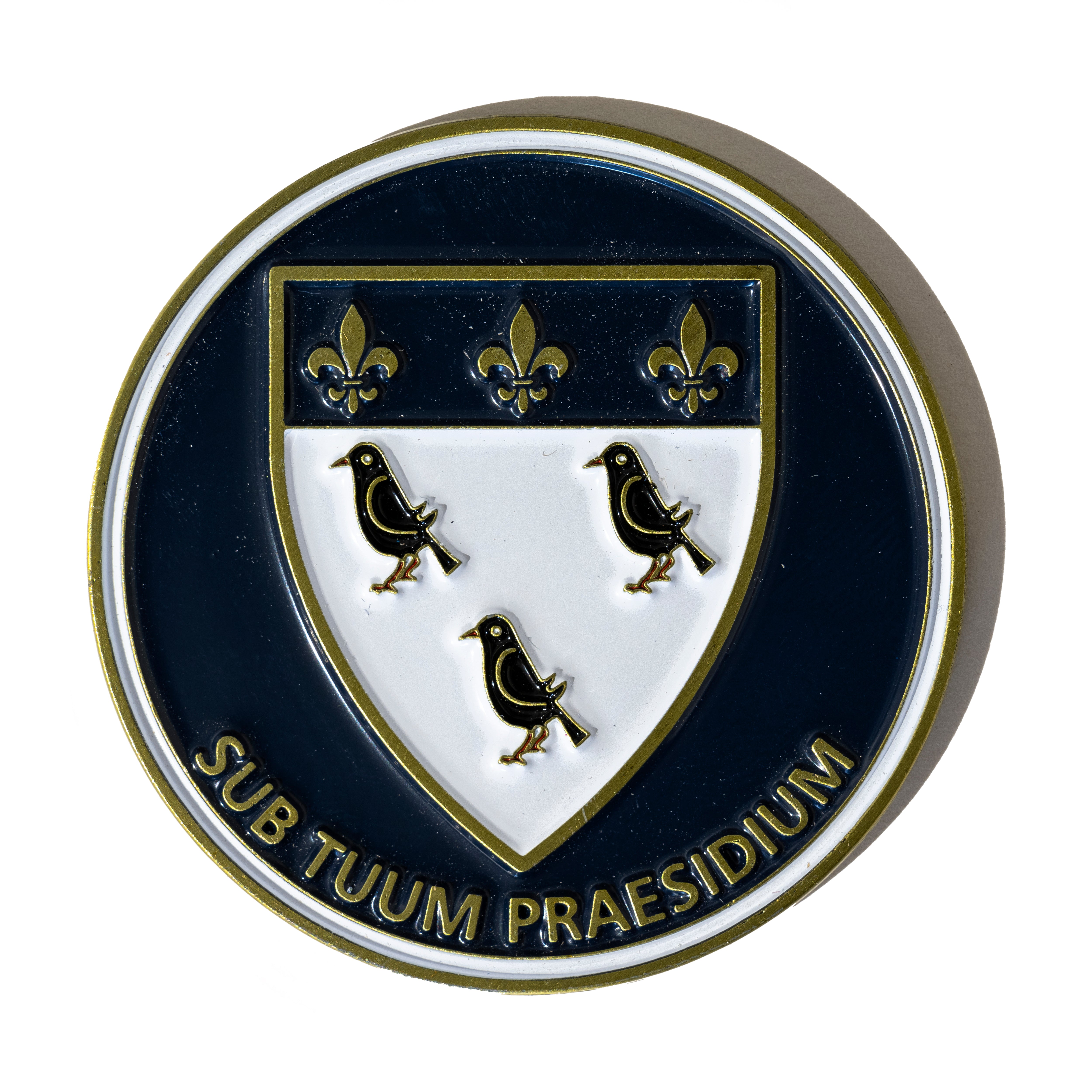Custom School Coins Your Logo - bespokesportsmedals.com