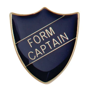 Standard School Pin Badges - bespokesportsmedals.com