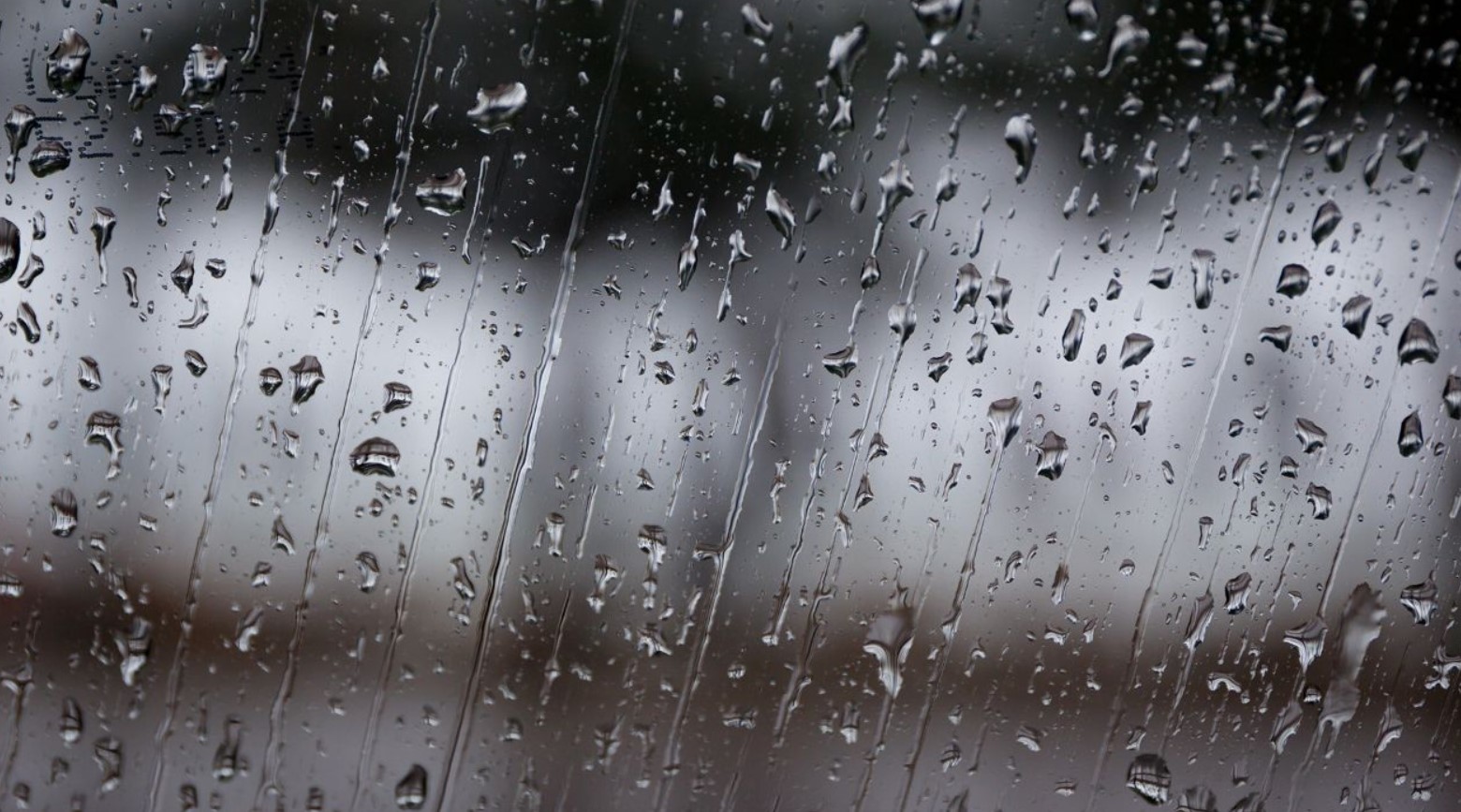 Regn, Regn, Regn | Billesborgskolen i Køge