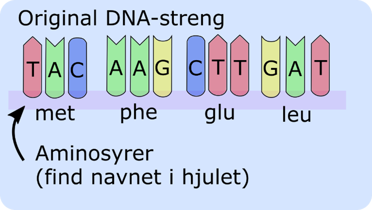 Mutationer – Biologividen